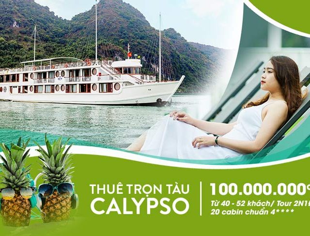 Calypso Cruises - Official website of Calypso Cruises in Lan Ha Bay